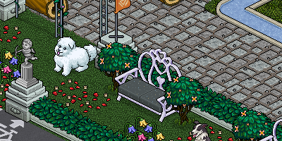 Amor animal - Concursos - Habbo-Happy