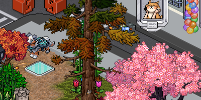 Felicidad animal - Concursos - Habbo-Happy